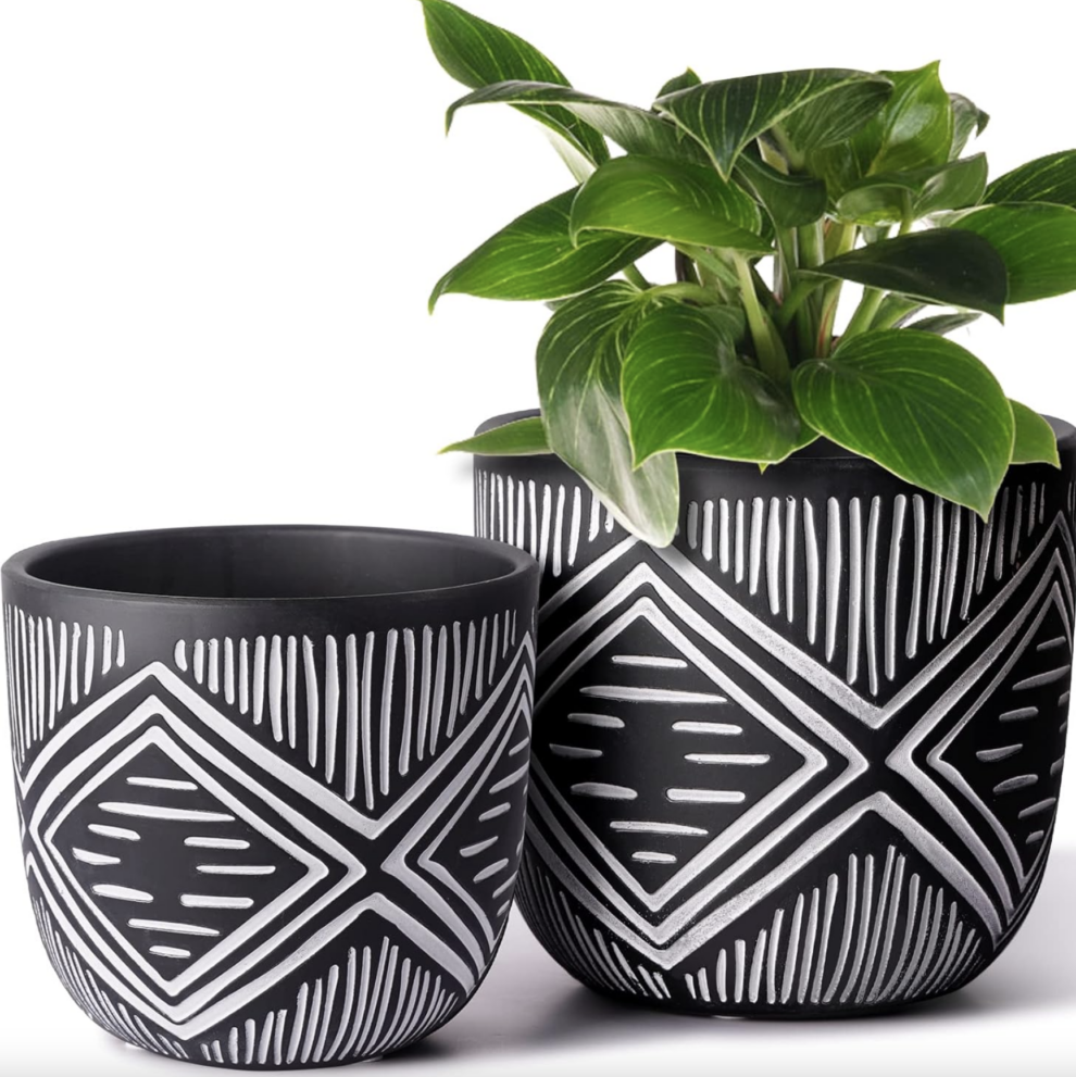 WhataPot Outlet: Save on Ceramic Flower Pots & Planters