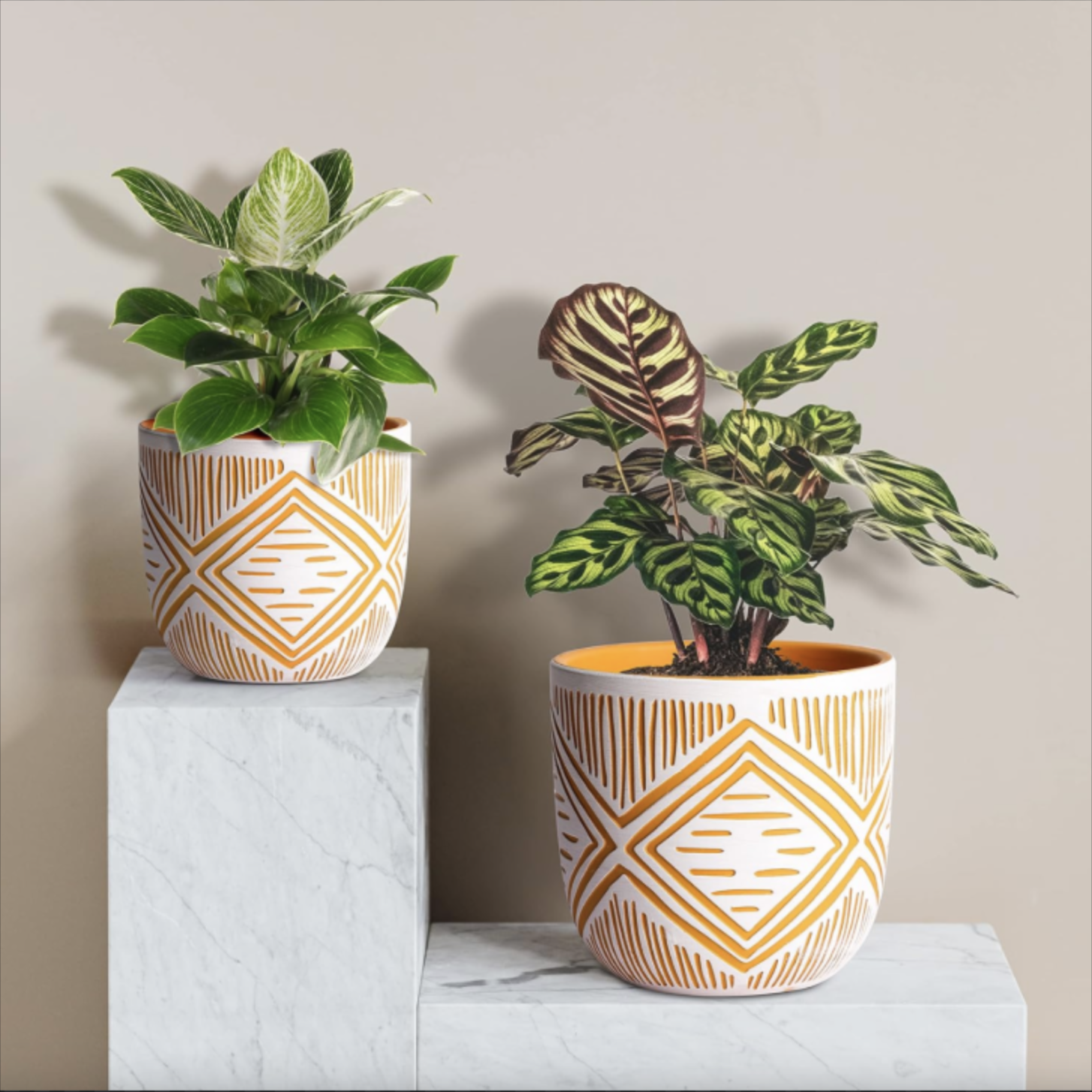 WhataPot Outlet: Save on Ceramic Flower Pots & Planters