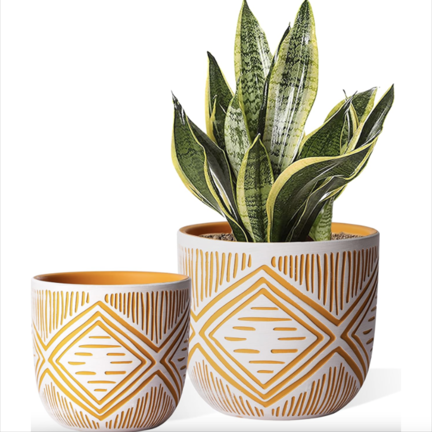 WhataPot Outlet: Save on Ceramic Flower Pots & Planters